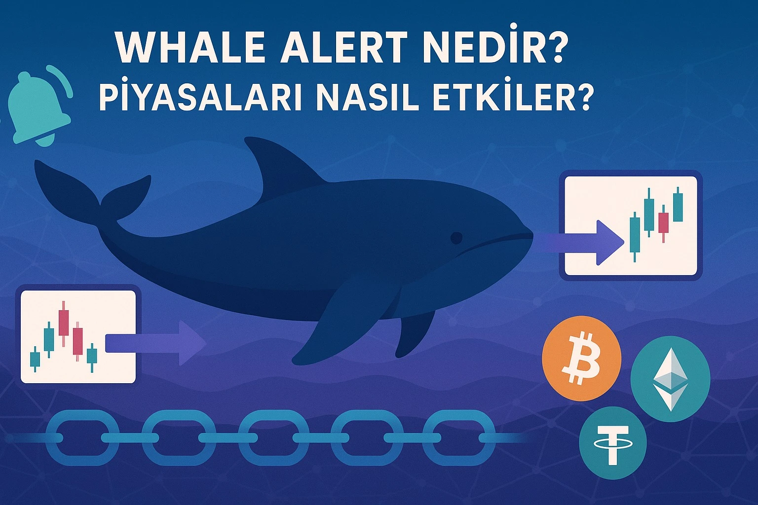Whale Alert Nedir? Piyasaları Nasıl Etkiler? | Borsanın İzinden
